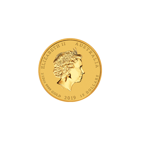 2019 1/10 oz Australian Perth Mint Gold Pig Coin - 1/10 oz Gold Coin ...